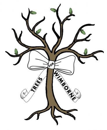 Bringing Back the Native Black Poplar: Planting and Caring for a Rare ...